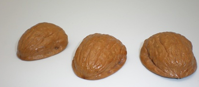 The Shell Game – mylifewithparkinsonsdotcom